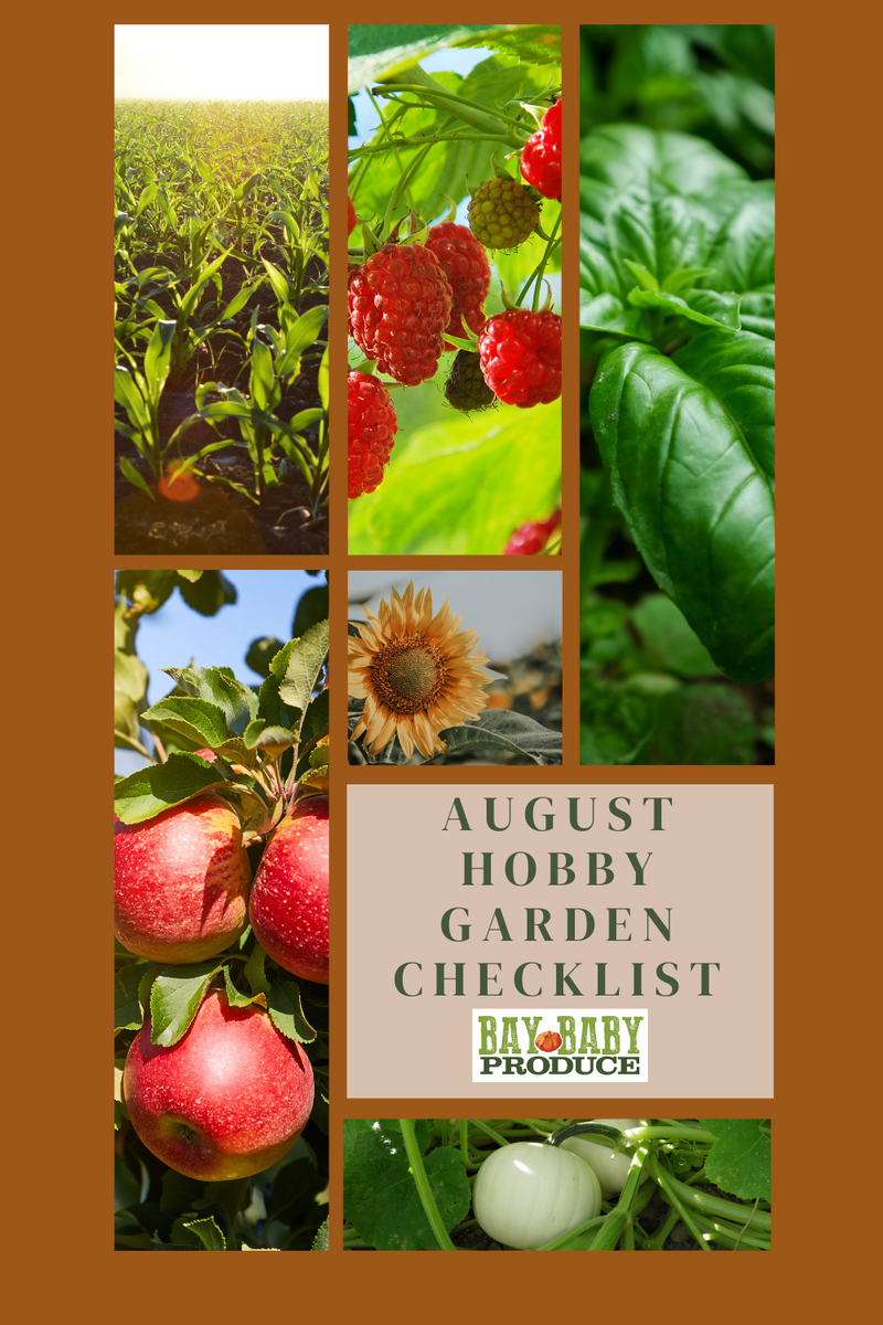 August: Hobby Garden Checklist – Bay Baby Produce
