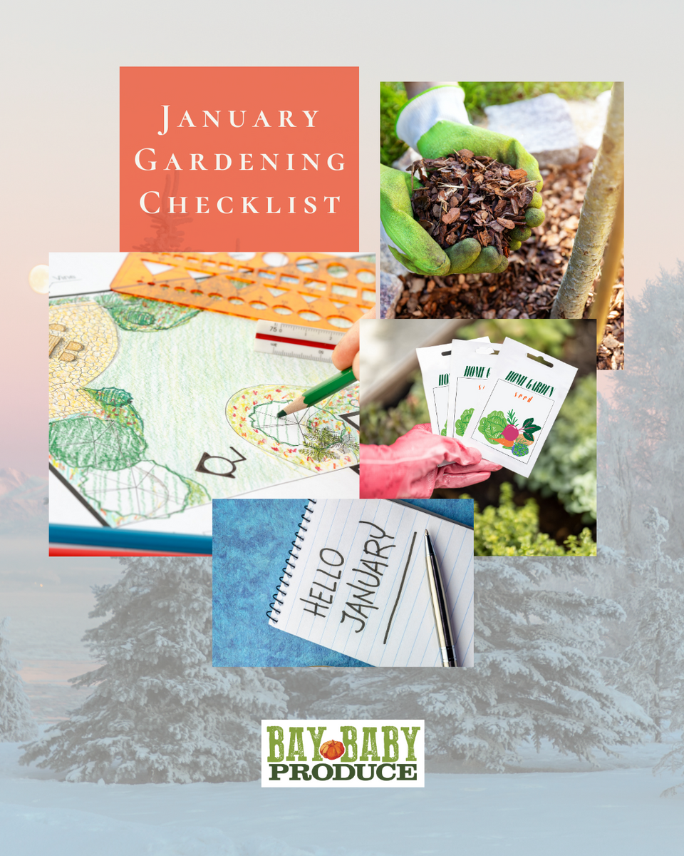 January Gardening Checklist – Bay Baby Produce