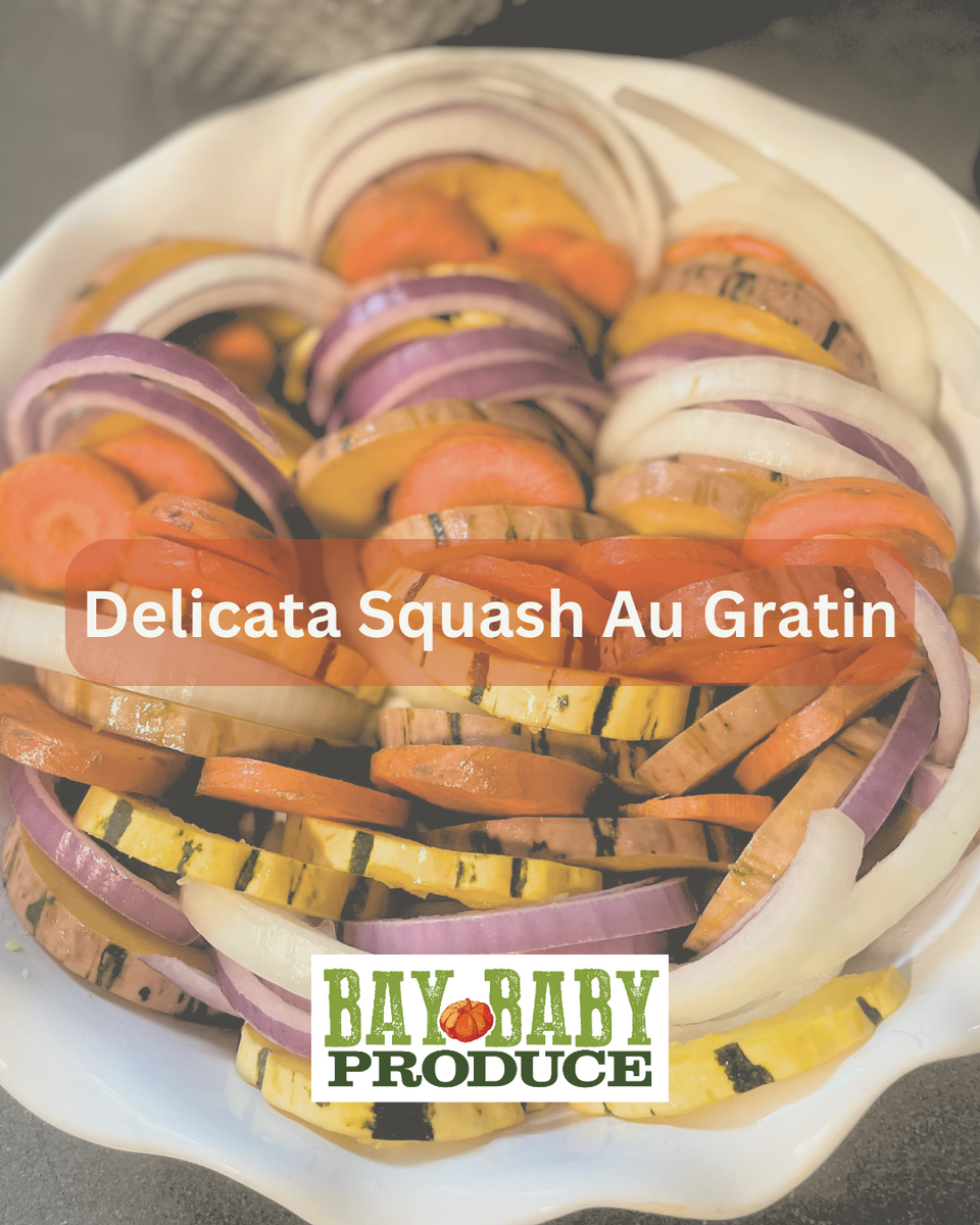 Delicata Squash Au Gratin – Bay Baby Produce