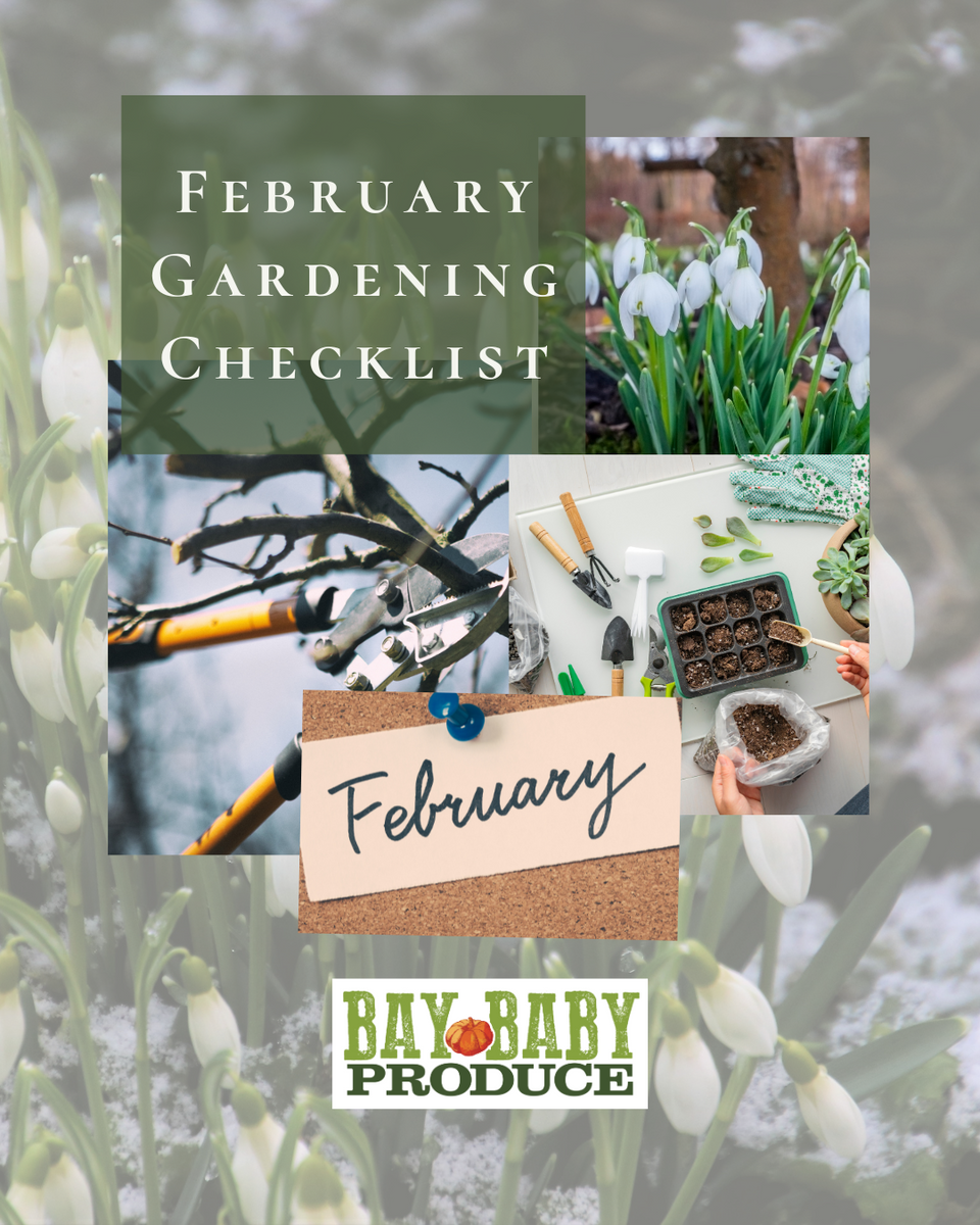 February Hobby Gardening Checklist – Bay Baby Produce