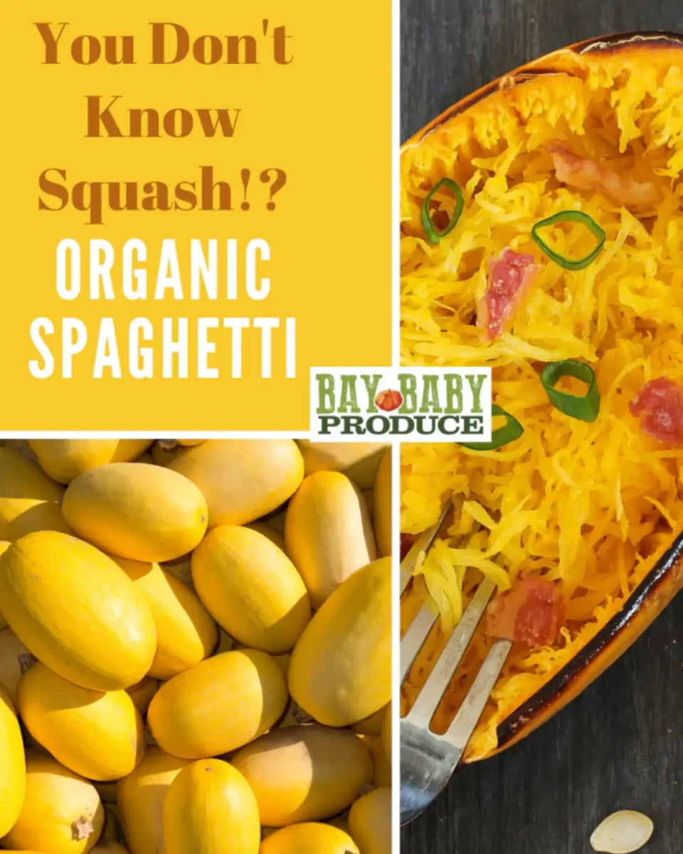 Squash Varieties to Try for Cooking, Decorating, and Fall Flavor – Bay ...