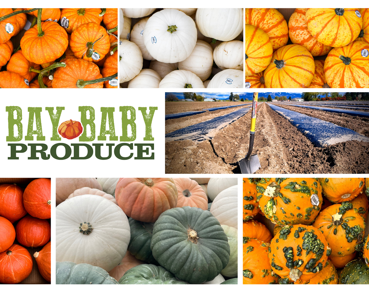 Wholesale Inquiries – Bay Baby Produce