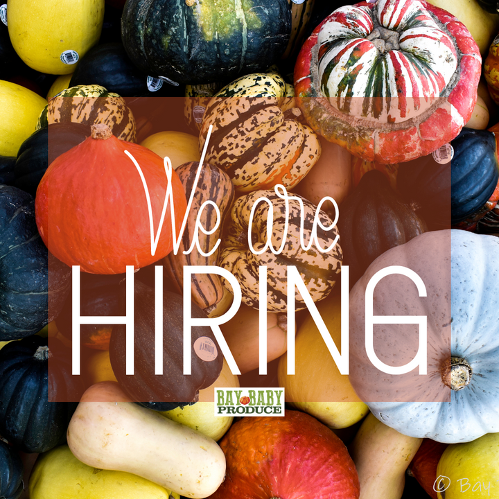 Seasonal Job Postings – Bay Baby Produce