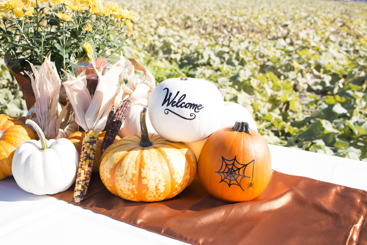 Welcome to the Farm – Bay Baby Produce