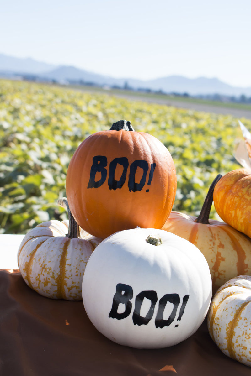 Fun on the Farm – Bay Baby Produce