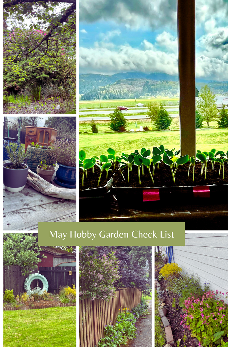 May Hobby Gardening Check List – Bay Baby Produce