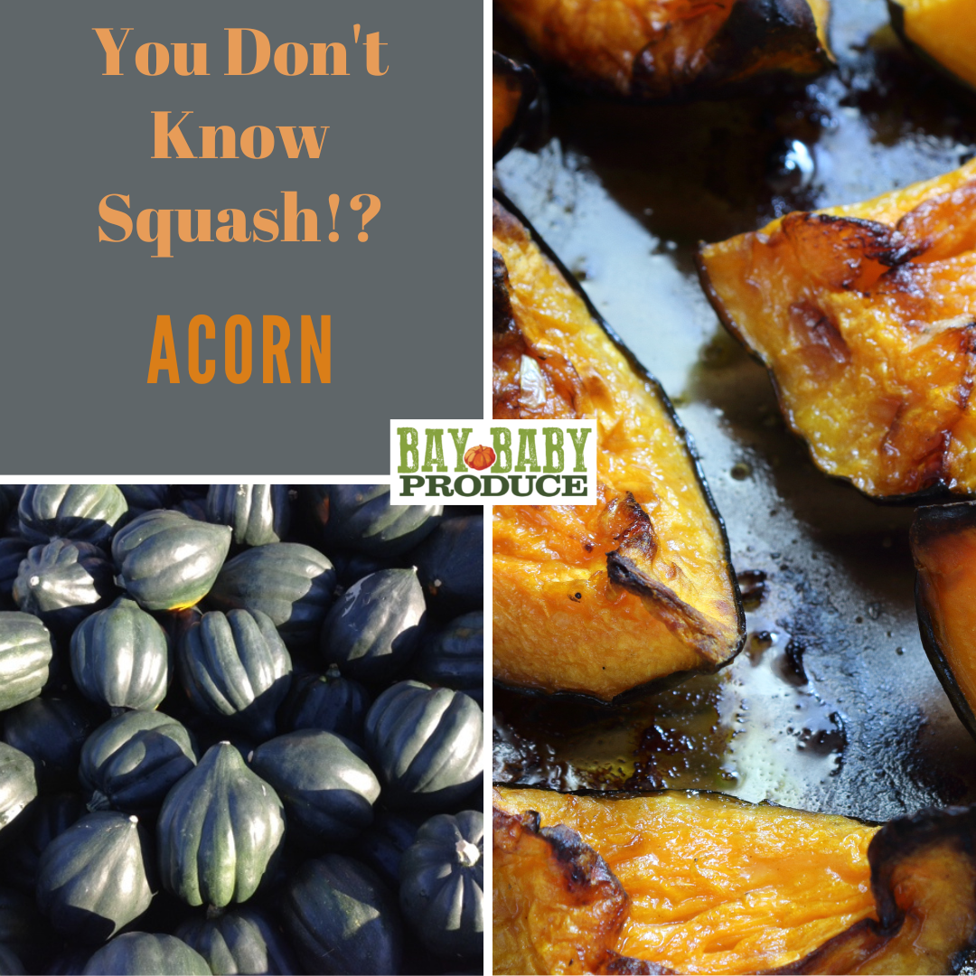 Squash Collection – Bay Baby Produce