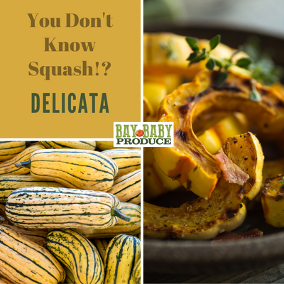 Squash Varieties to Try for Cooking, Decorating, and Fall Flavor – Bay ...